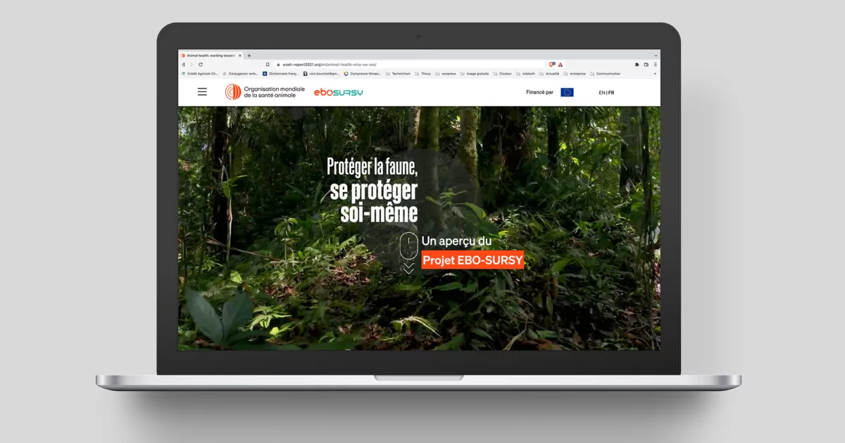 Raconter le projet EBO-SURSY au fil du scroll | Animal pensant