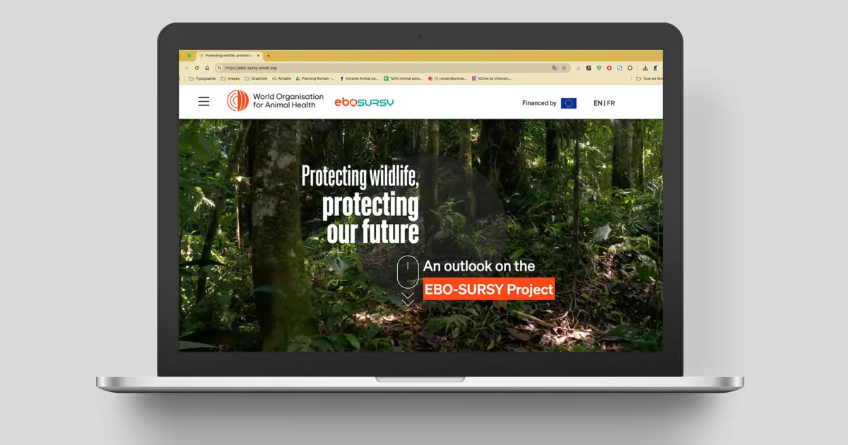 Telling the story of the EBO-SURSY project through scrolling | Animal ...